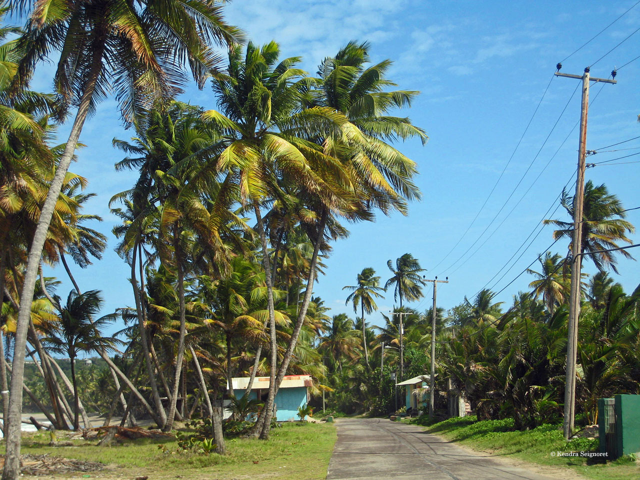 Grenada - An Island of History and Beauty - Rusty Travel Trunk