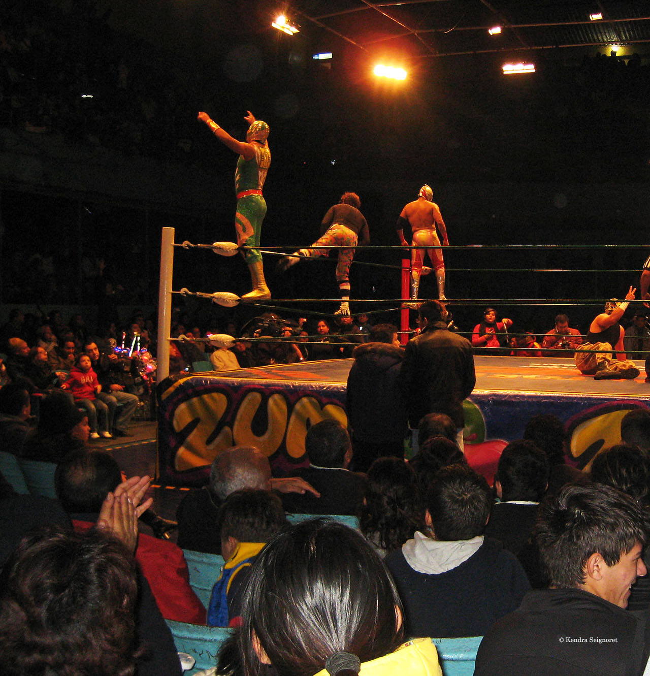 Lovin' the Lucha Libre - Rusty Travel Trunk