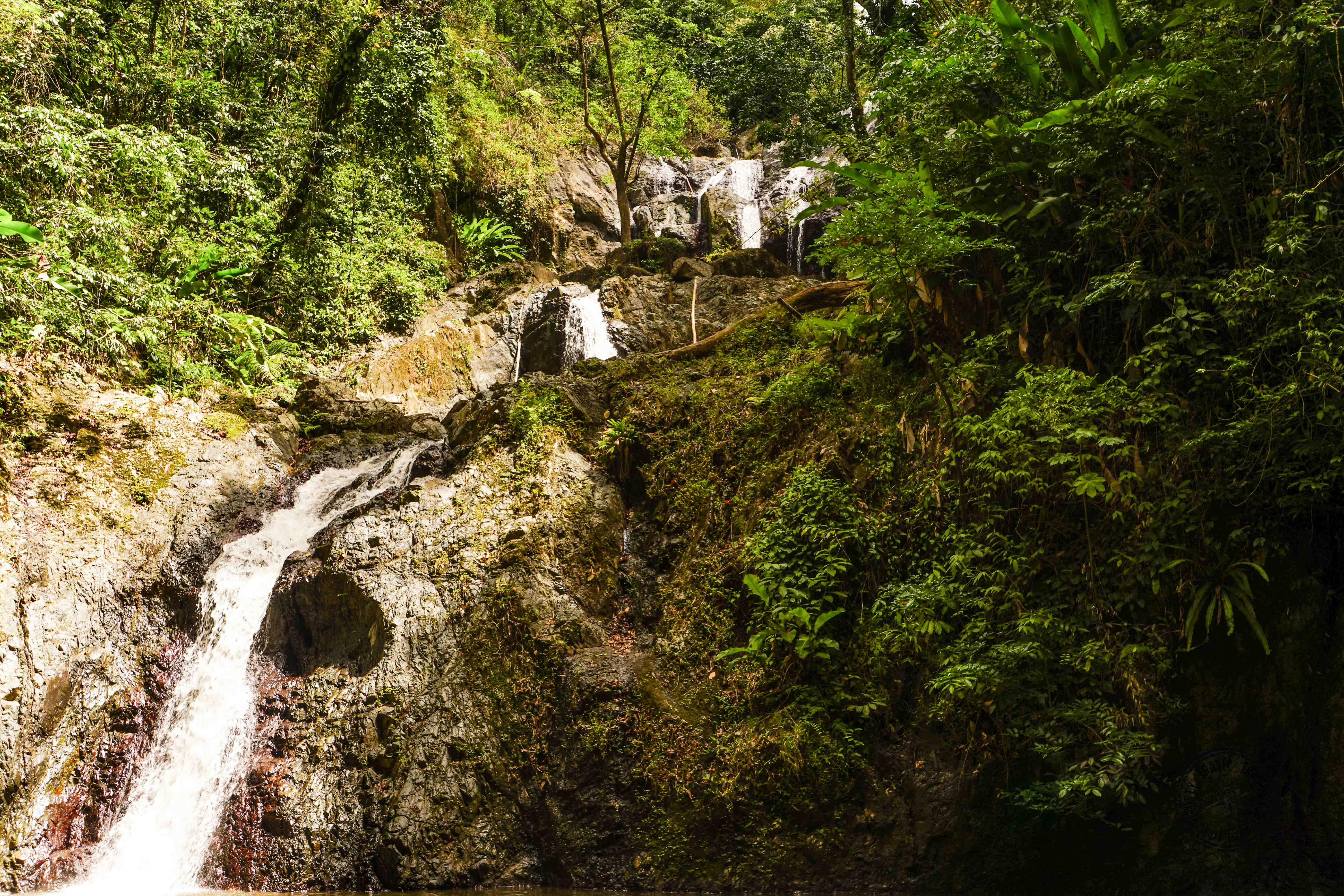 Check Out Argyle Falls In Tobago Rusty Travel Trunk Check Out Argyle Falls In Tobago Rusty Travel Trunk